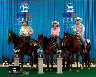 Horses for Sale | Krebsbach Performance Horses | New Prague, MN